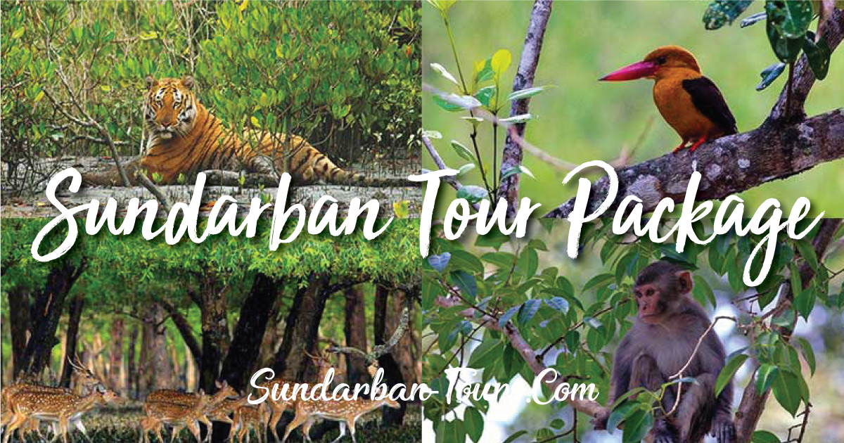 Sundarban Tour Package by Cruise Ship | #1 Sundarban Tour Planner ...